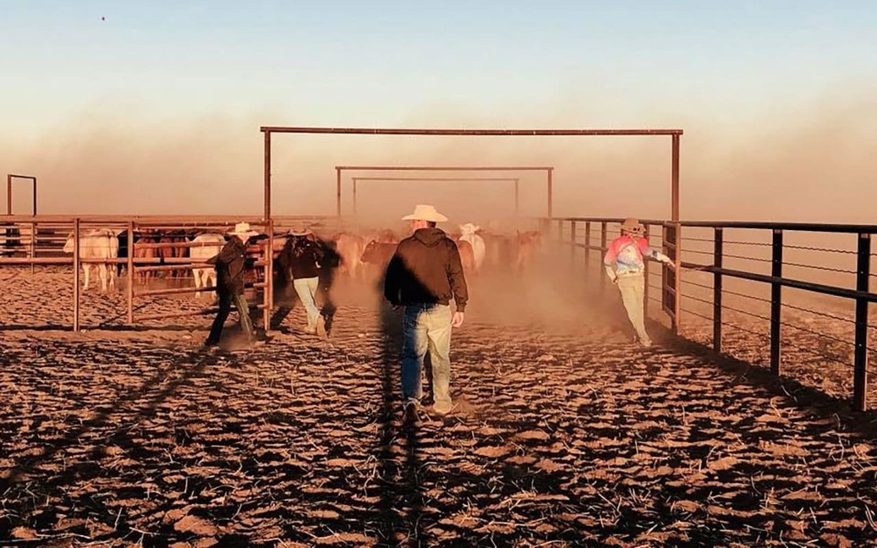 Westholme F1 Australian Wagyu bei OTTO GOURMET